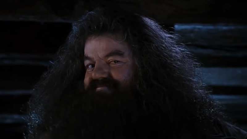 Robbie Coltrane, Harry Potter's Hagrid died at 72 - PLAY4UK